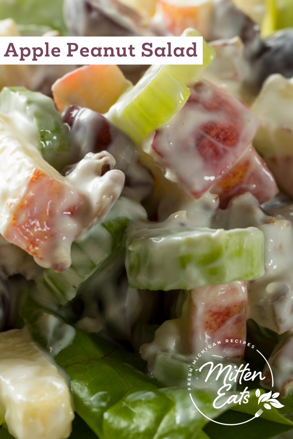 Apple Peanut Salad - Mitten Eats